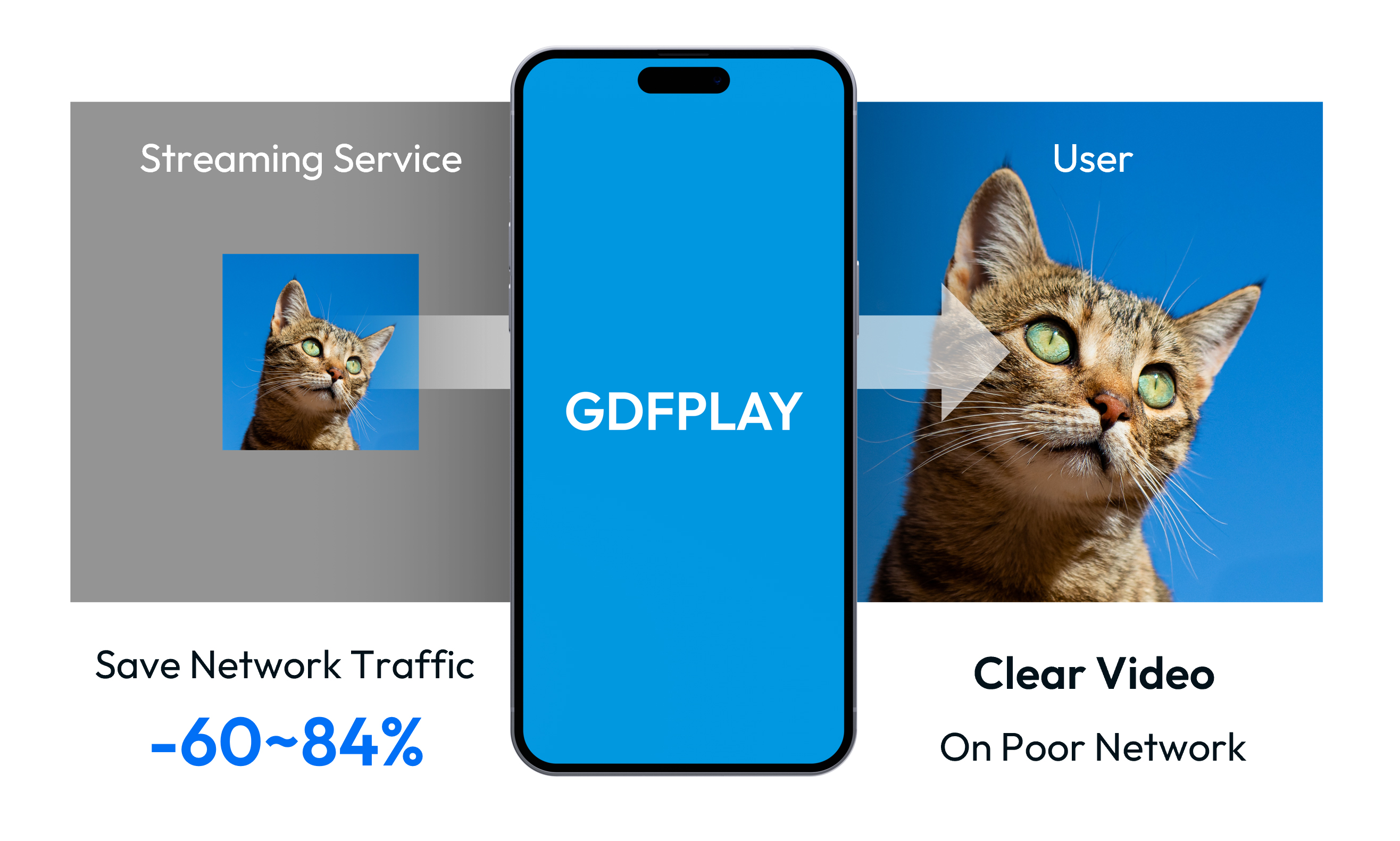 GDFLab